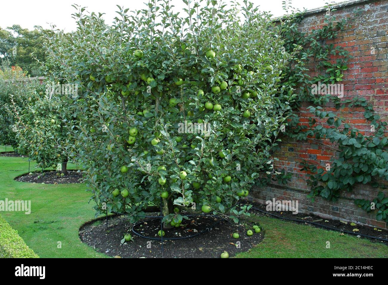 Winged shape hi-res stock photography and images - Alamy