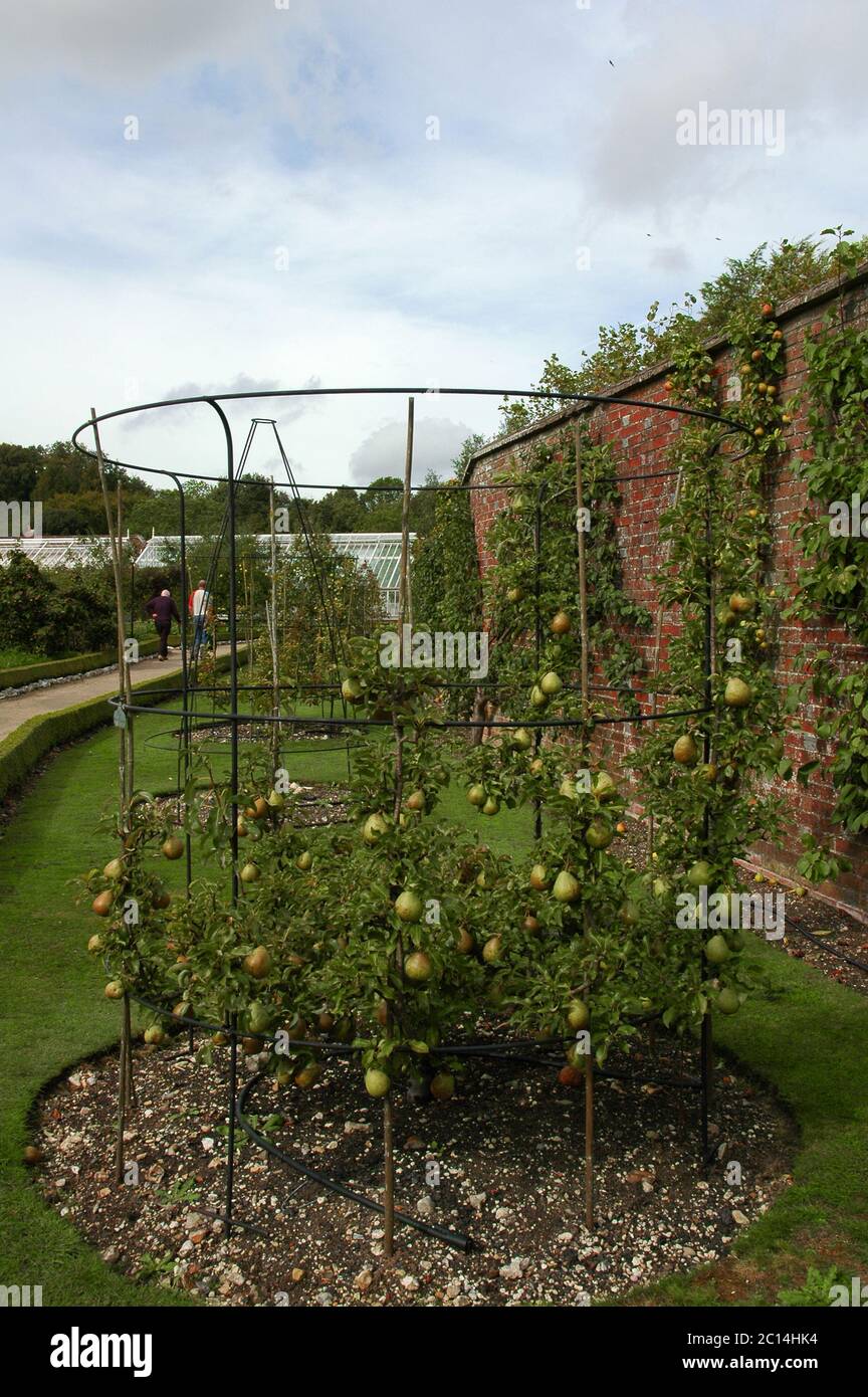 Spur forming hi-res stock photography and images - Alamy