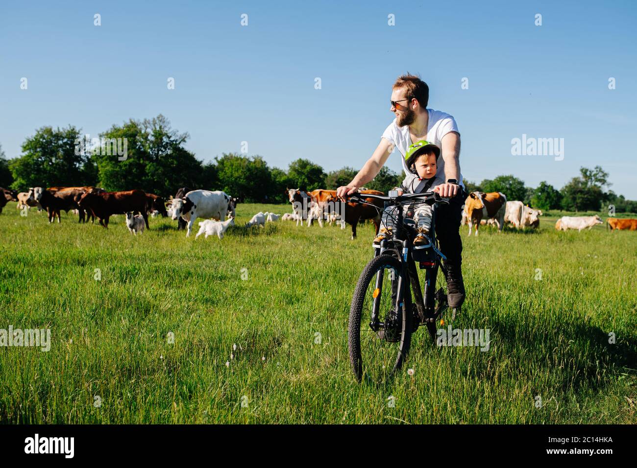 Boy with cows hi-res stock photography and images - Alamy