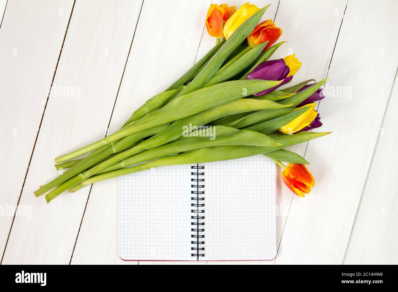 Tulip flowers and notebook Stock Photo - Alamy