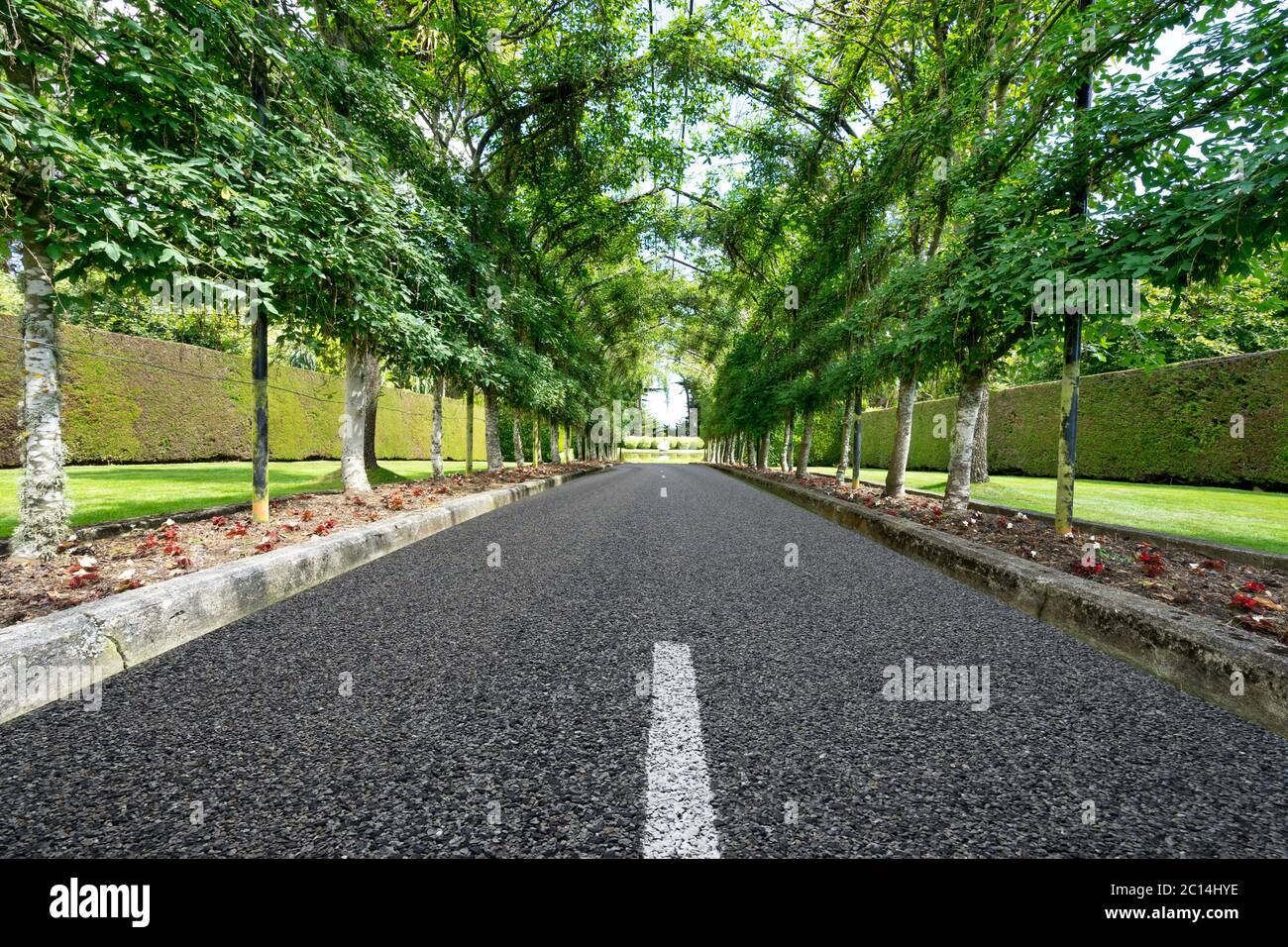 Park at the frame hi-res stock photography and images - Alamy