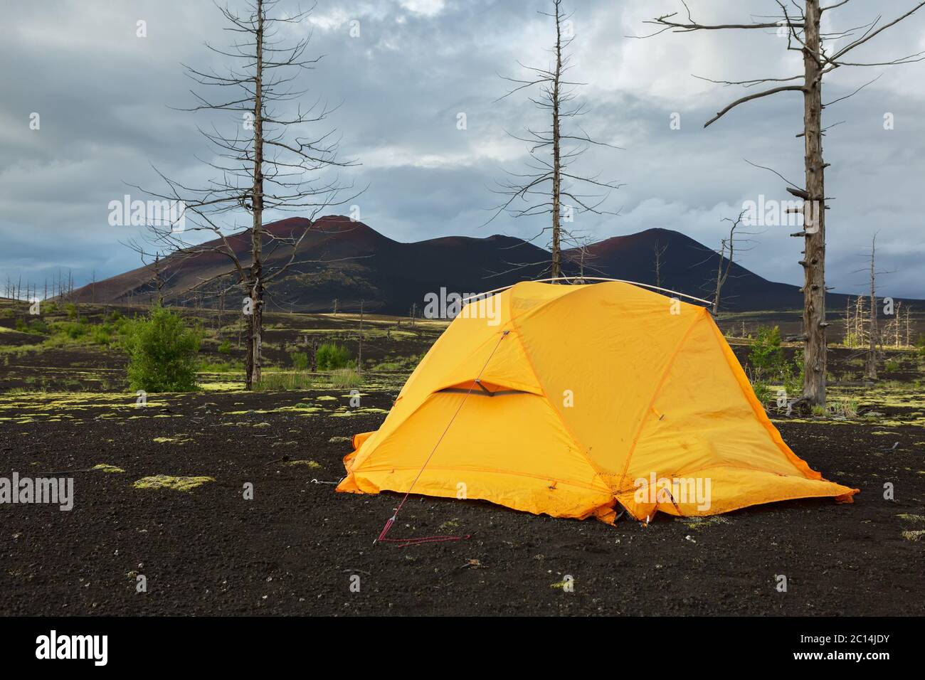 Tourist Tent In Dead Wood Consequence Of Catastrophic Release Of Ash During The Eruption Of