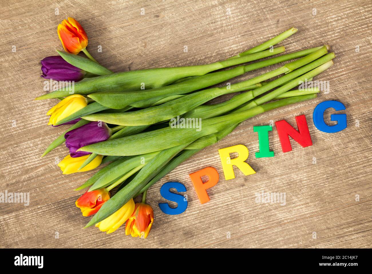 Lettering SPRING and colorful tulips Stock Photo - Alamy