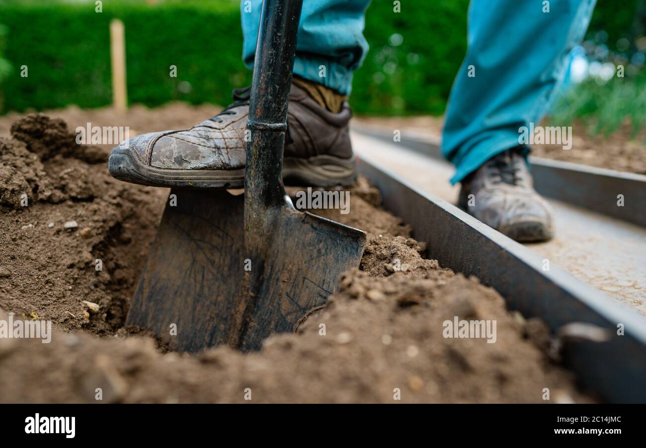 Male foot wearing a rubber boot digging an earth in the garden with an ...