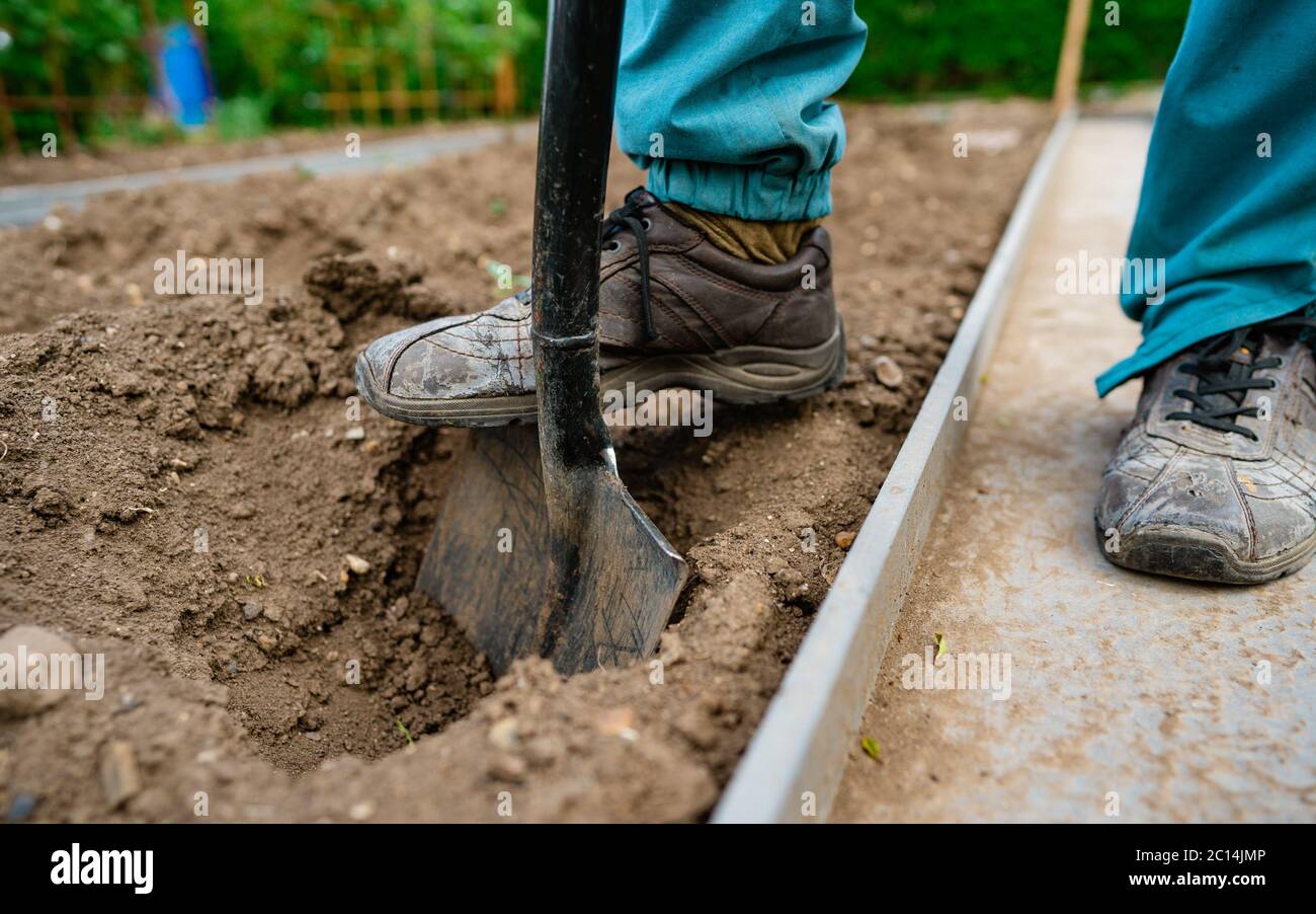 Male foot wearing a rubber boot digging an earth in the garden with an ...