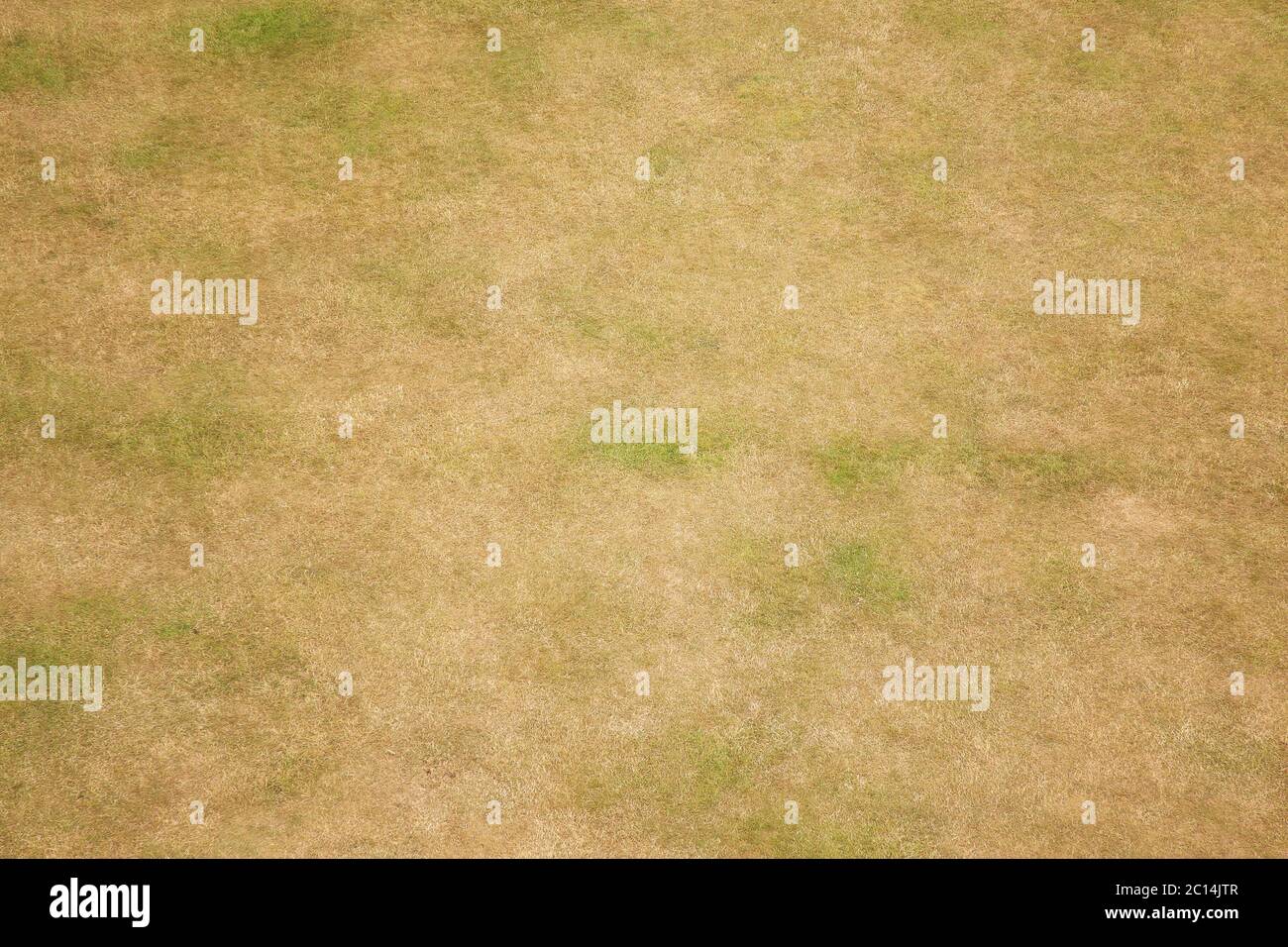 birds eye view of grass from above Stock Photo - Alamy