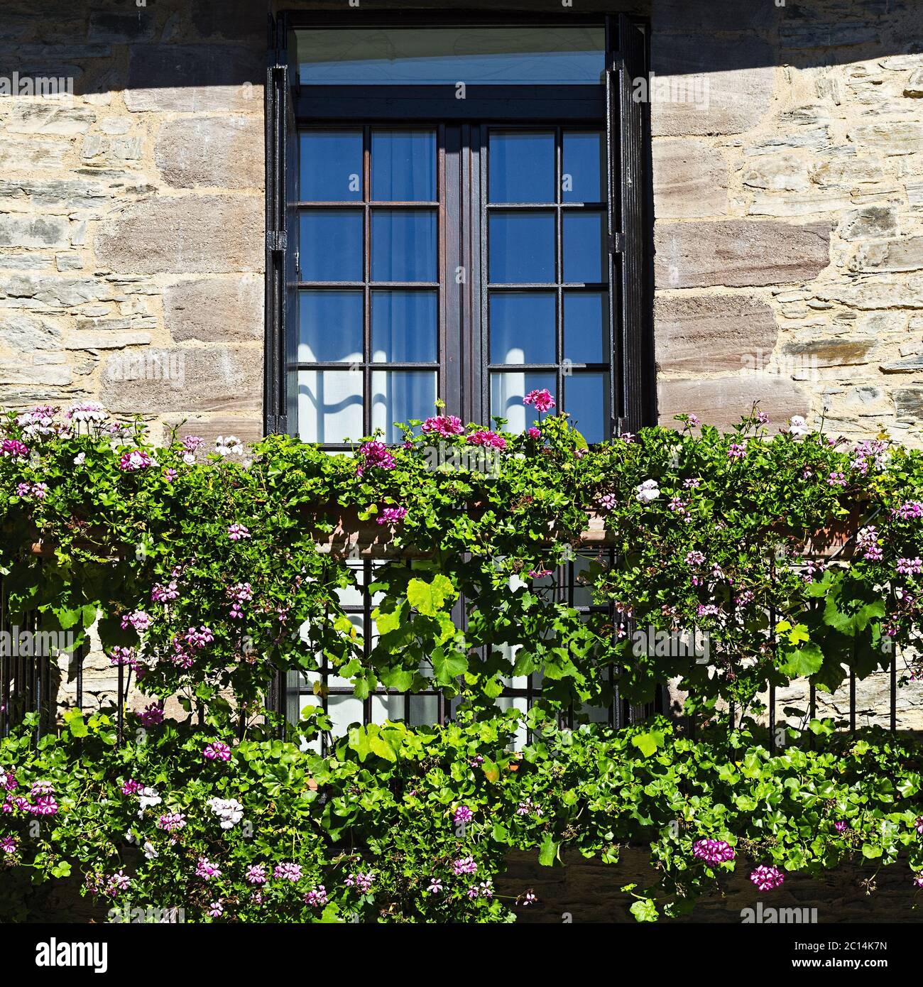 Windows with Flowers Stock Photo - Alamy