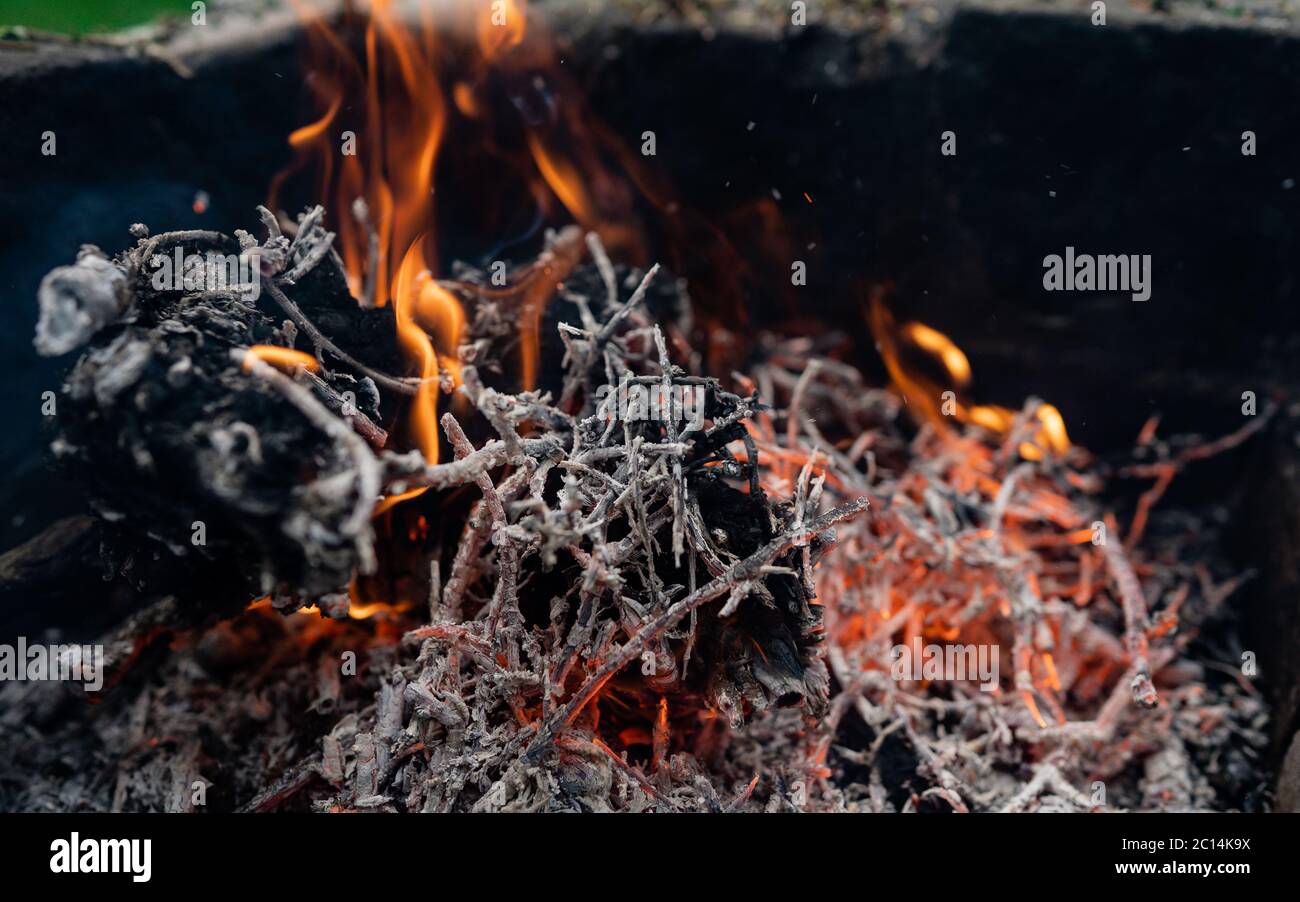 Extreme close up view to wood burning with flames. Orange flame of fire ...