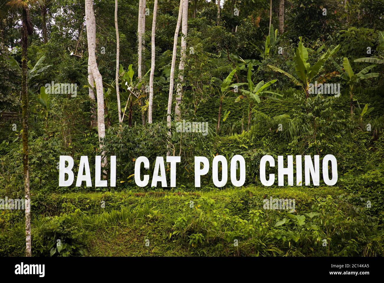 Cat Poop Arrow Coffee Emoji