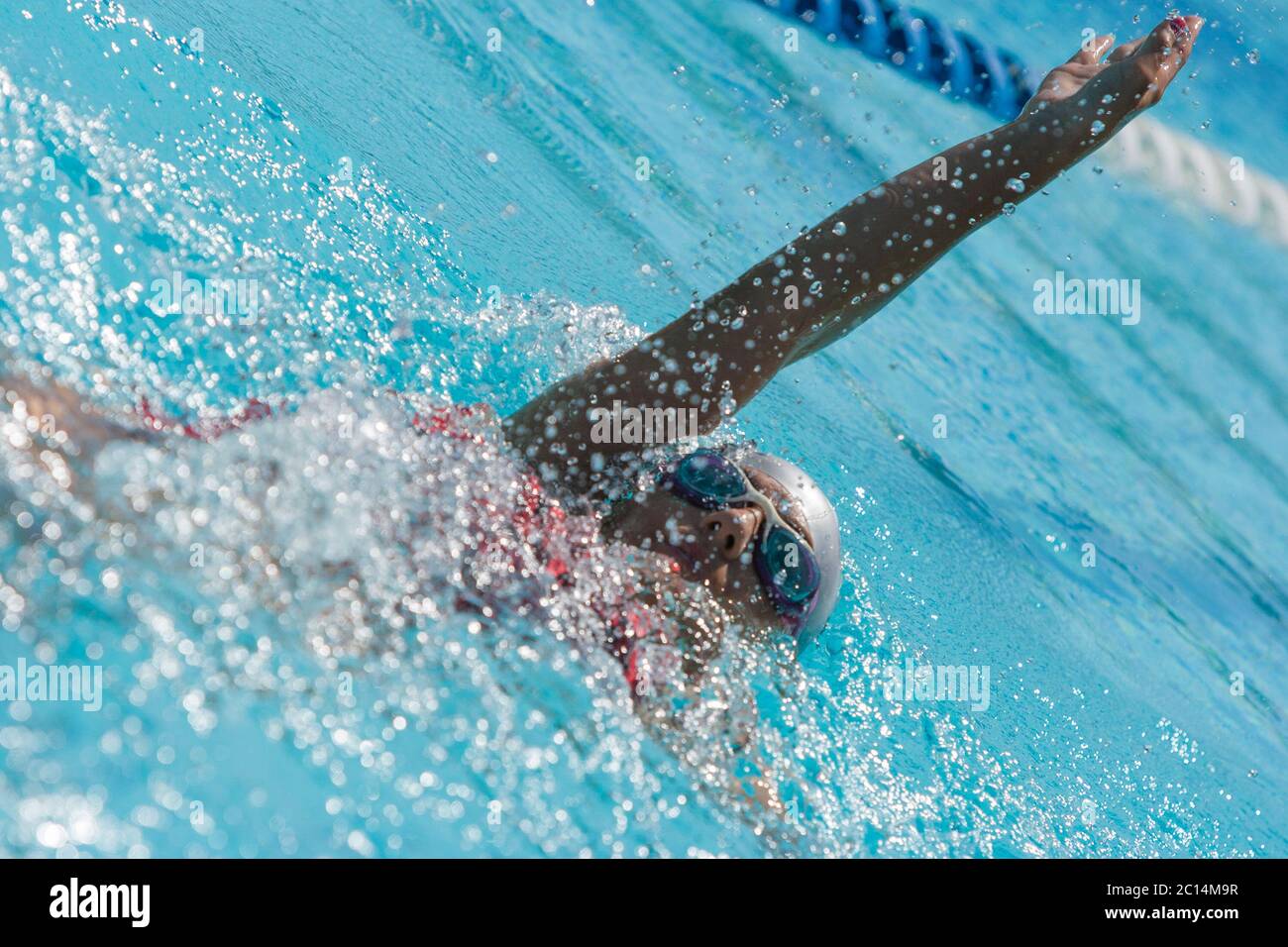 woman swimming backstroke during a race Stock Photo - Alamy