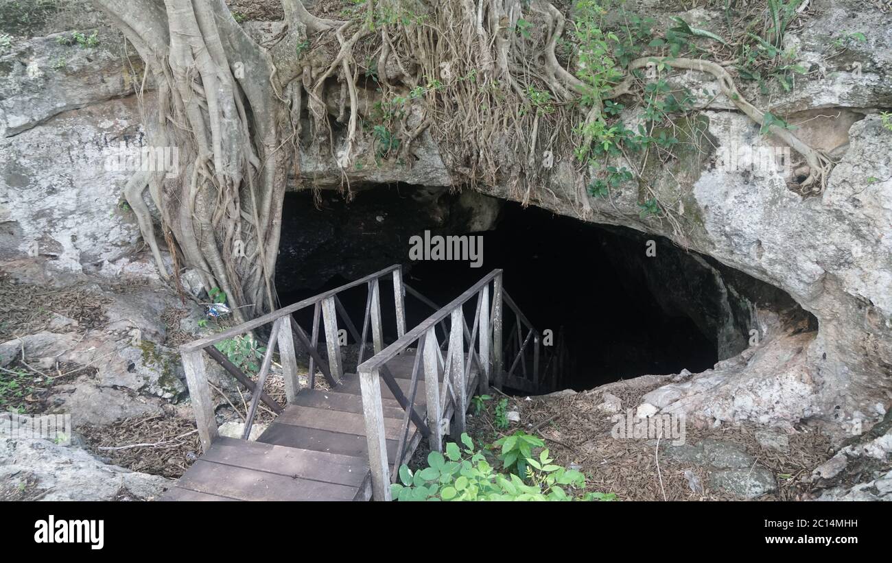 Tecoh yucatan cenote hi-res stock photography and images - Alamy