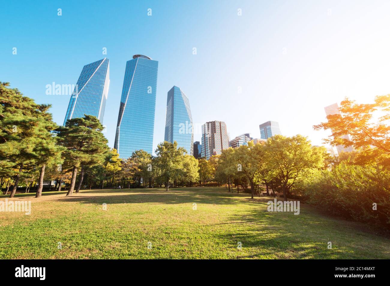 Beautiful public park hi-res stock photography and images - Alamy