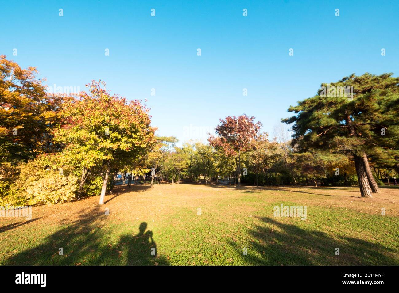 Beautiful public park hi-res stock photography and images - Alamy