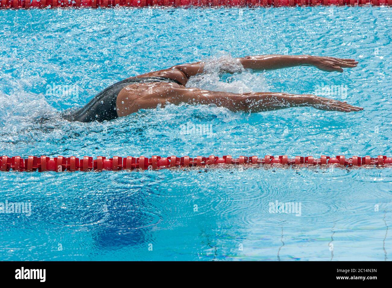 Butterfly stroke hi-res stock photography and images - Alamy