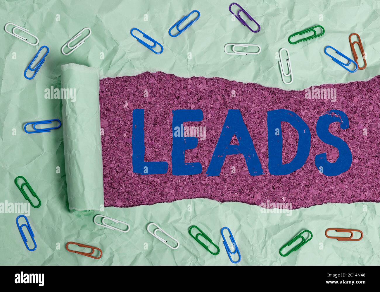 Text sign showing Leads. Business photo showcasing demographic ...