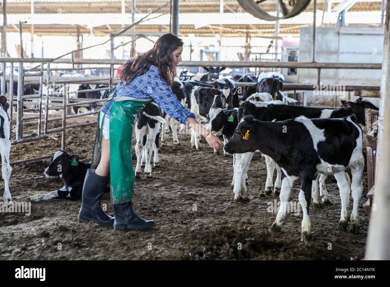 Teen Farm High Resolution Stock Photography and Images - Alamy