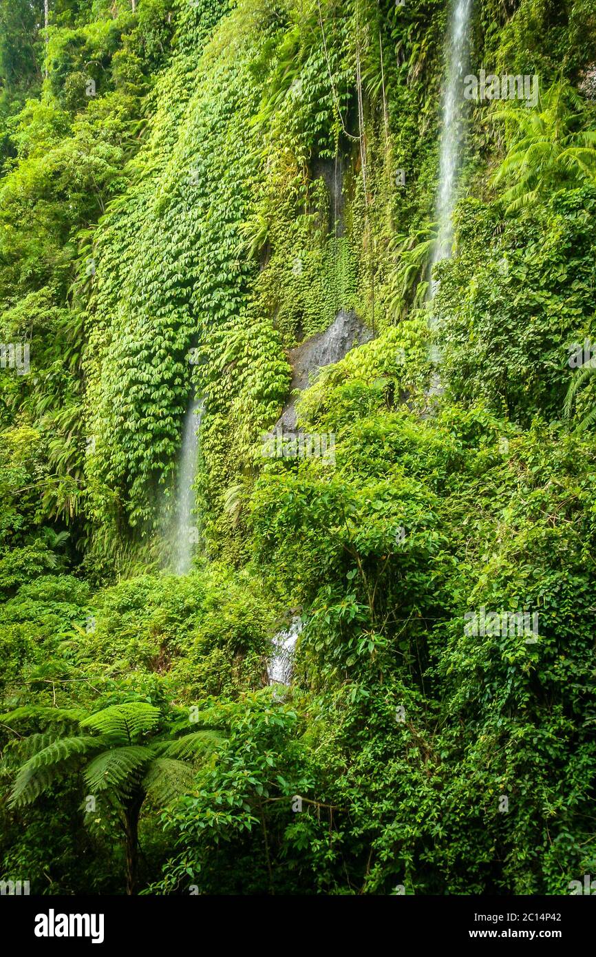 Tropical waterfall in Lombok Stock Photo - Alamy