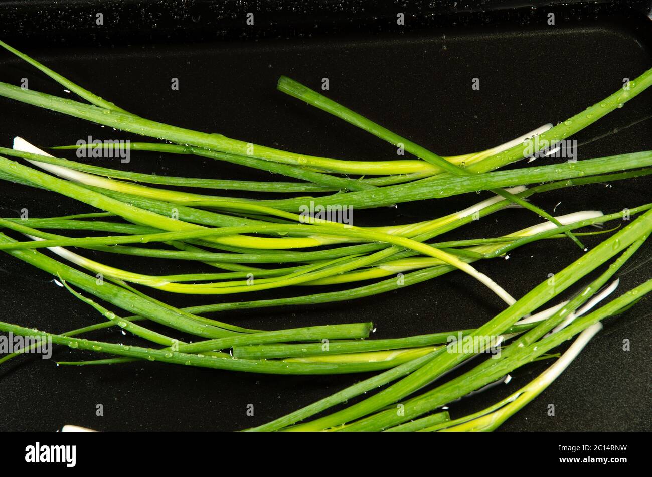 Washing leeks hi-res stock photography and images - Alamy
