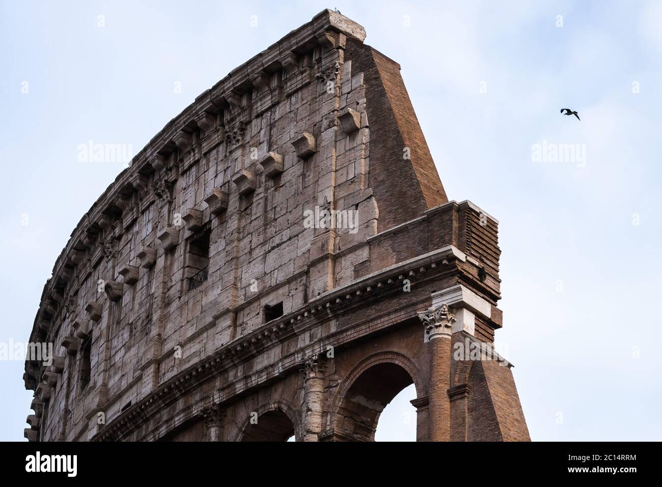 Close up details colosseum hi-res stock photography and images - Alamy