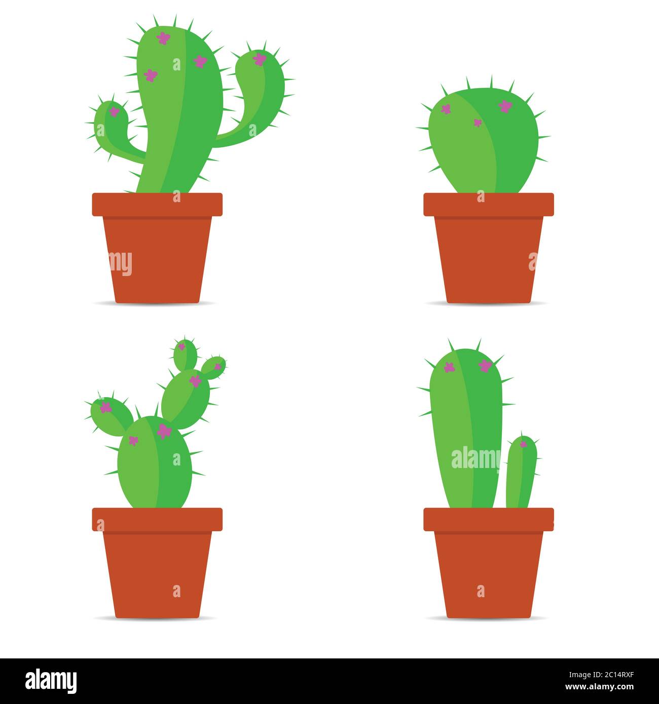 cactus in brown pots color vector illustration Stock Vector Image & Art ...