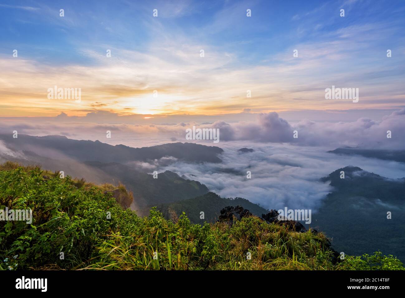 Chee grass hi-res stock photography and images - Alamy