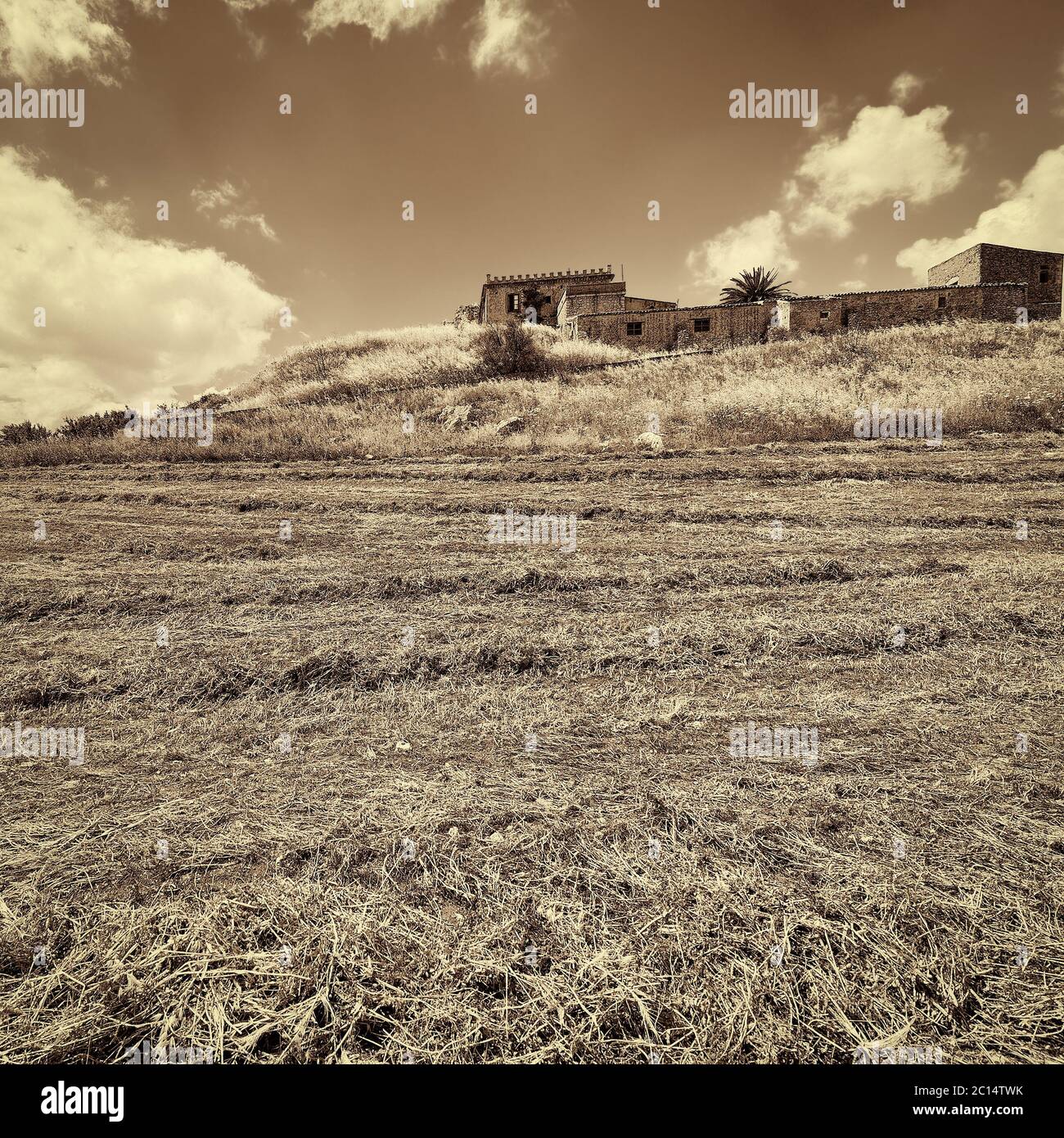 Field of mown grass hi-res stock photography and images - Alamy