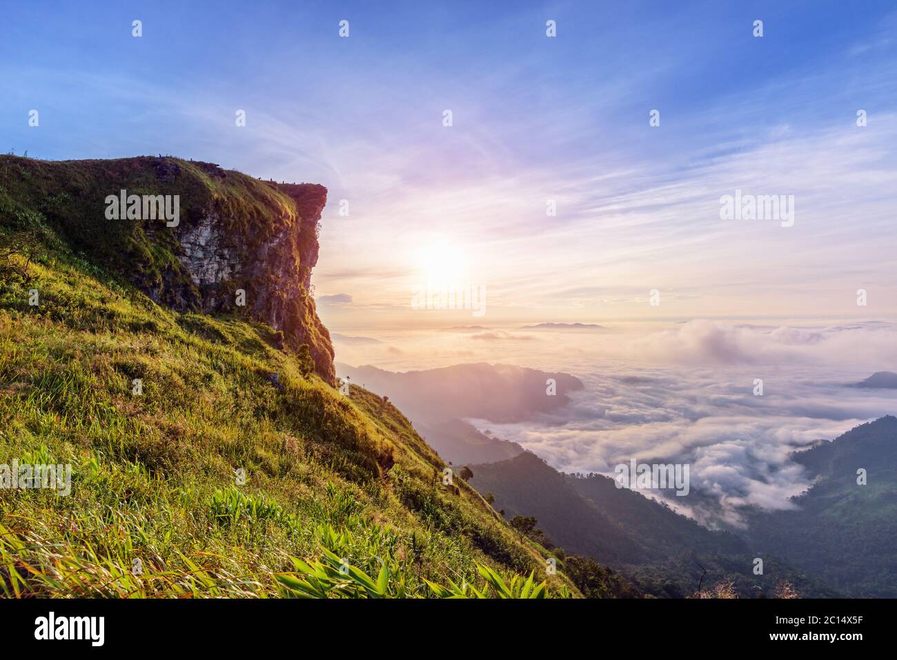Phu chi fa forest hi-res stock photography and images - Alamy