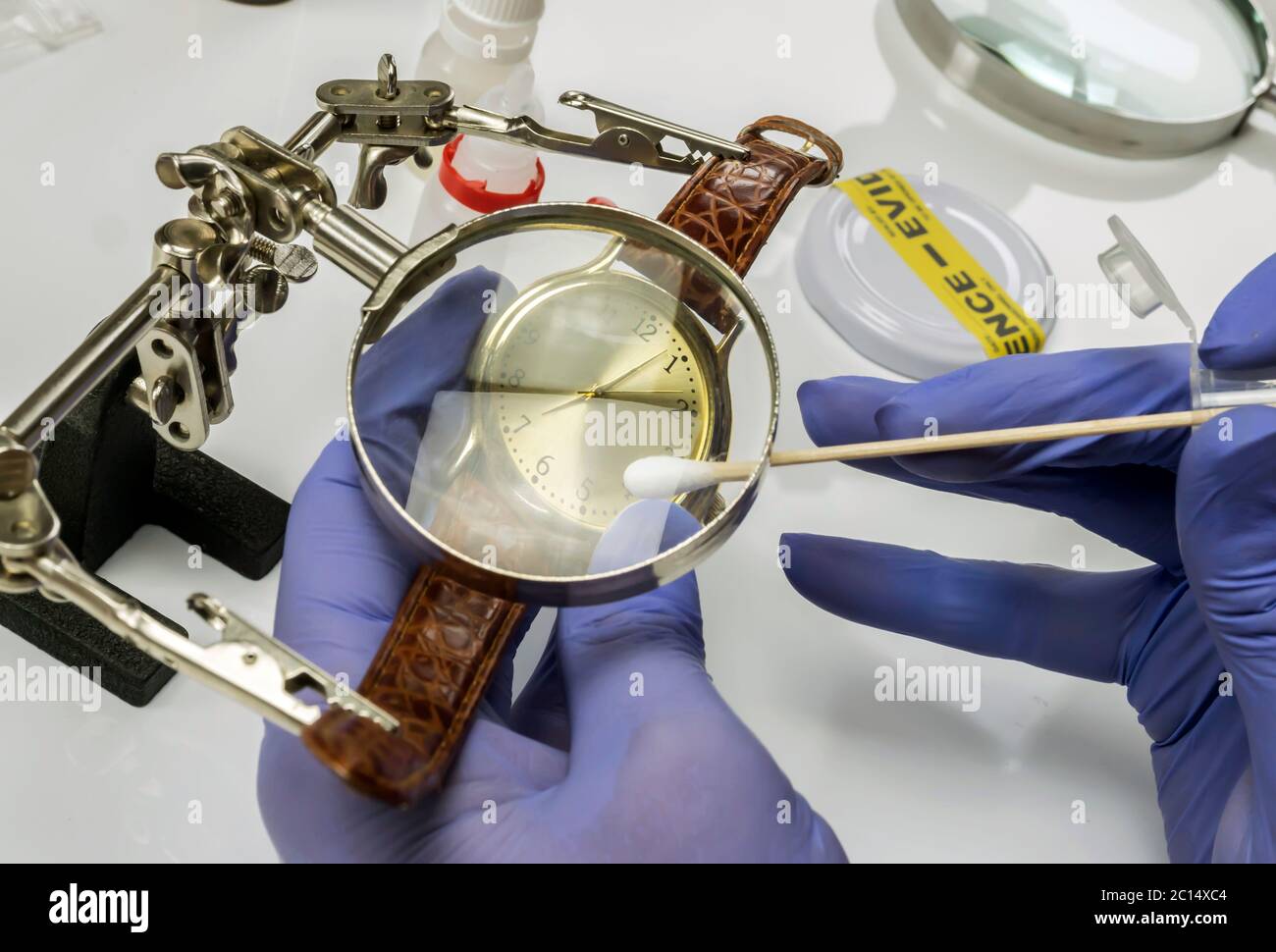 Police scientist working in Criminalistic Lab, victim clock analysis ...