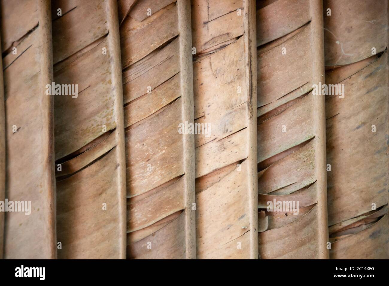 A Background from a wooden mesh or wood Stock Photo - Alamy