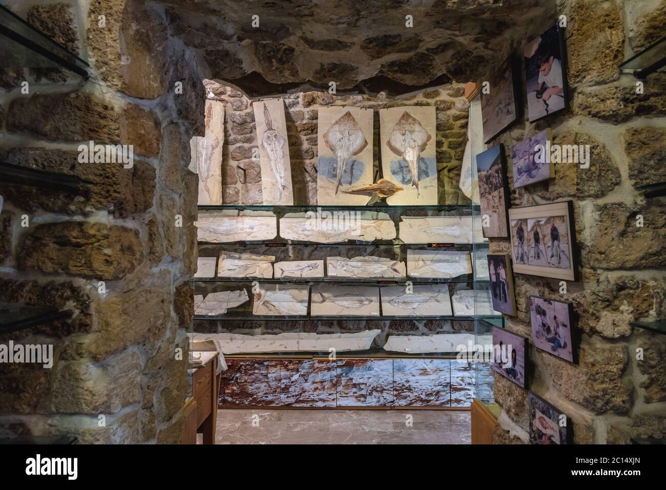 Exhibit in Memory of Time - Fossil Museum and shop in historic part of ...