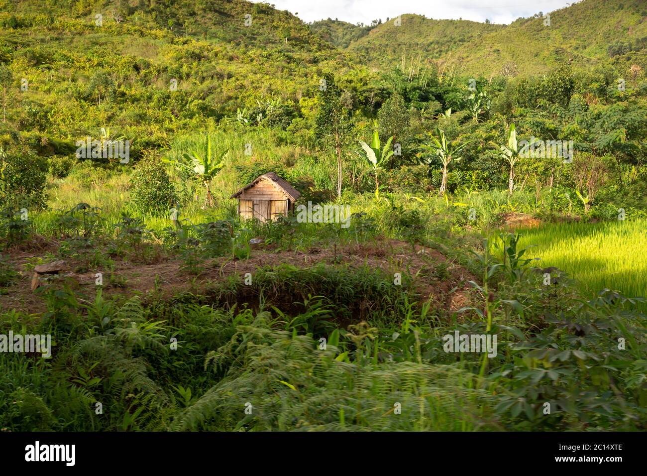 A landscape pictures of the country of Madagascar, with mountains and ...