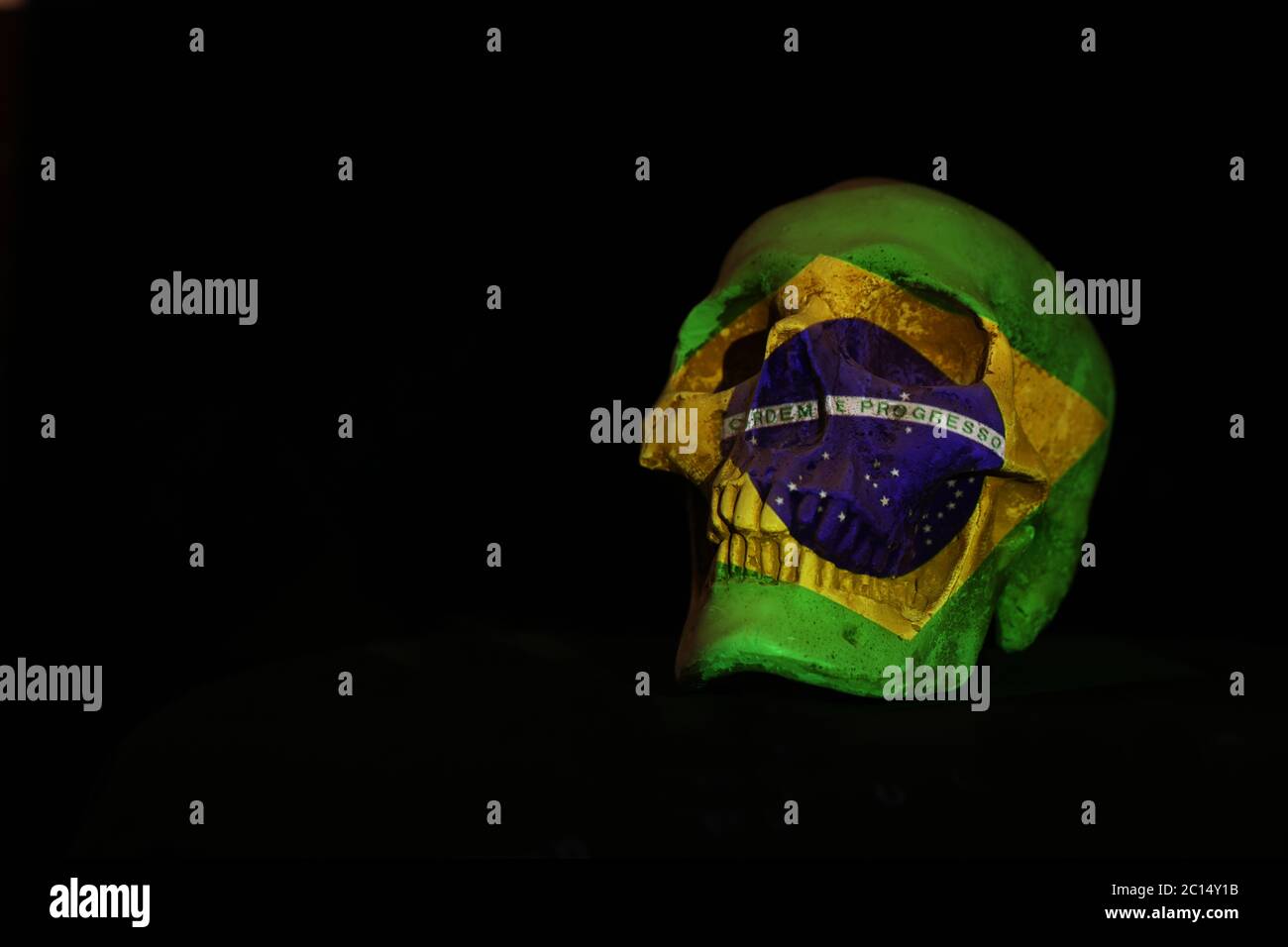 An isolated white skull set against a plain white background with the ...