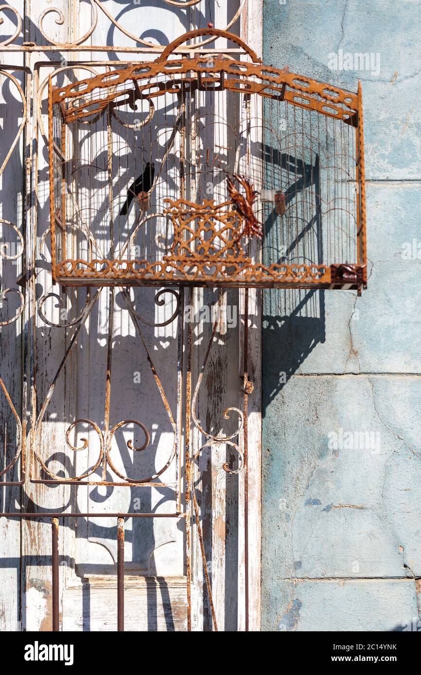 Hanging bird cage hi-res stock photography and images - Alamy