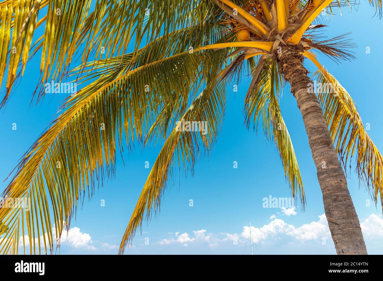 Cayo Blanco, Cuba Stock Photo - Alamy