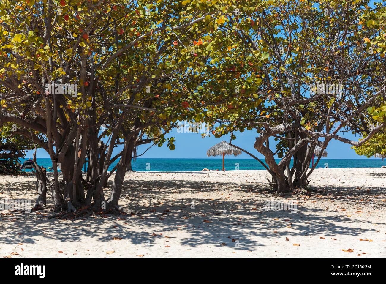 Cuba sand hi-res stock photography and images - Alamy