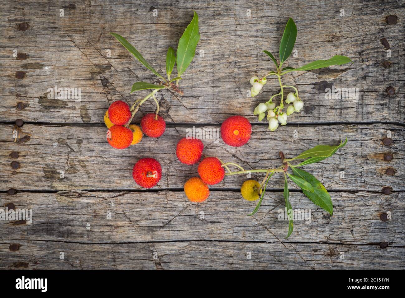 Delicious fresh arbutus fruits Stock Photo - Alamy