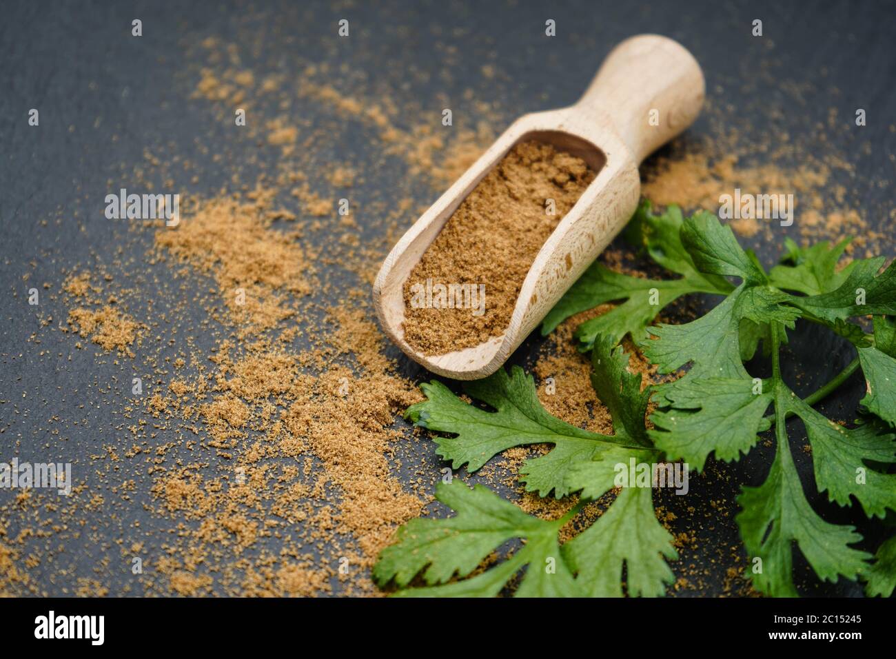 Koriander coriandrum sativum hi-res stock photography and images - Alamy