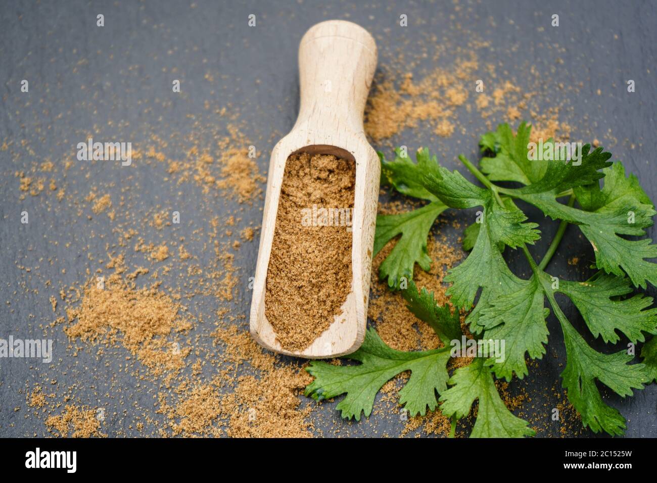 Koriander coriandrum sativum hi-res stock photography and images - Alamy