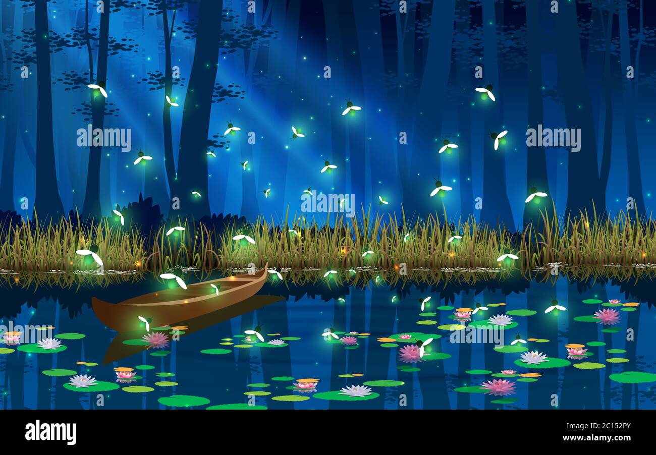 Swamps At Night