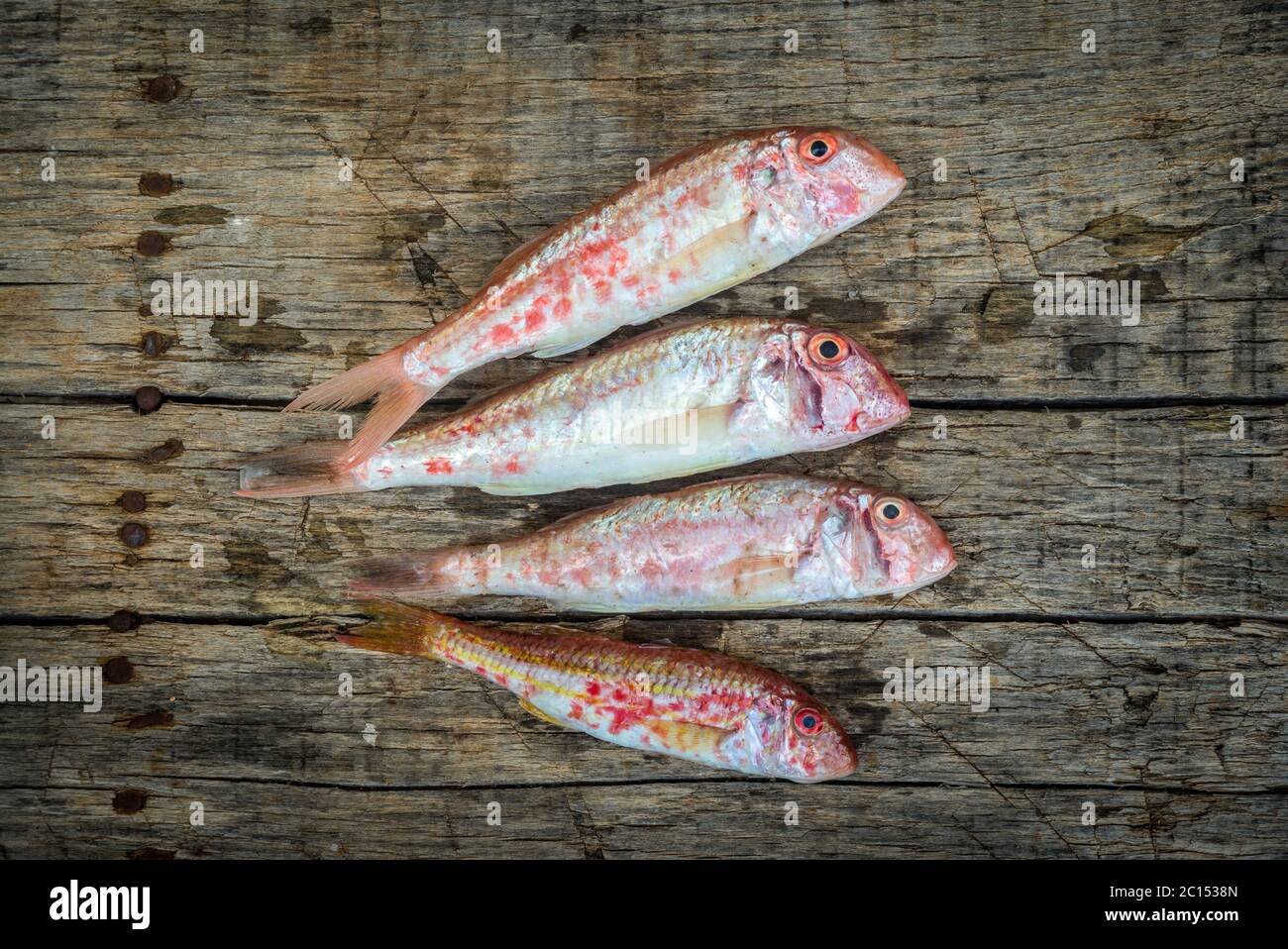 Red mullet raw fish Stock Photo - Alamy