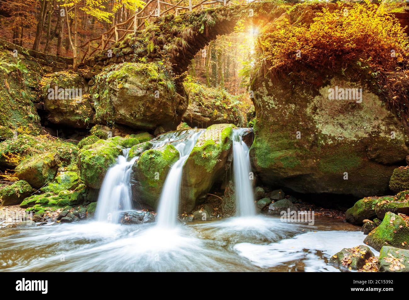 Mullerthal hi-res stock photography and images - Alamy