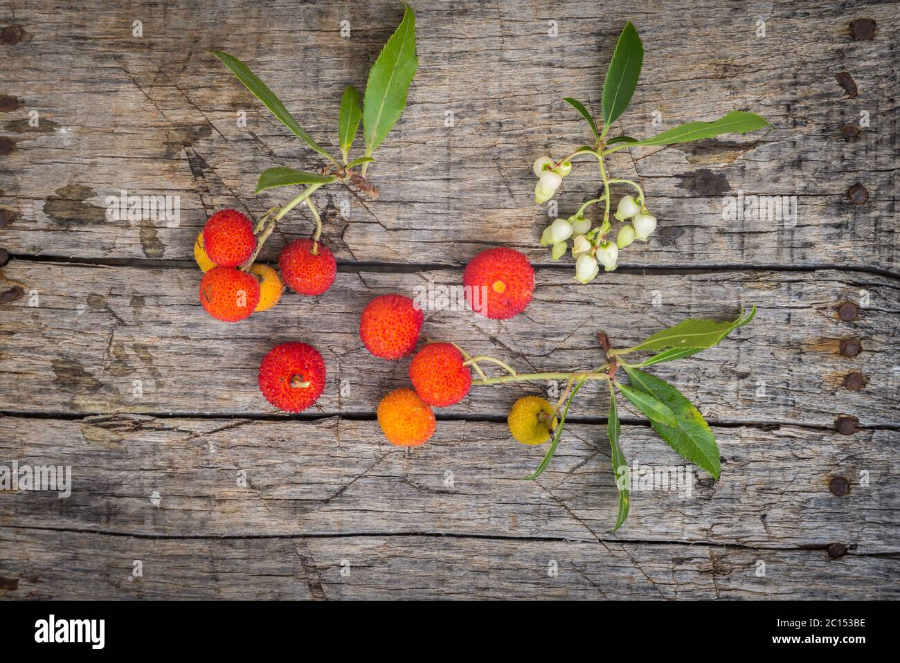 Arbutus fruits hi-res stock photography and images - Alamy