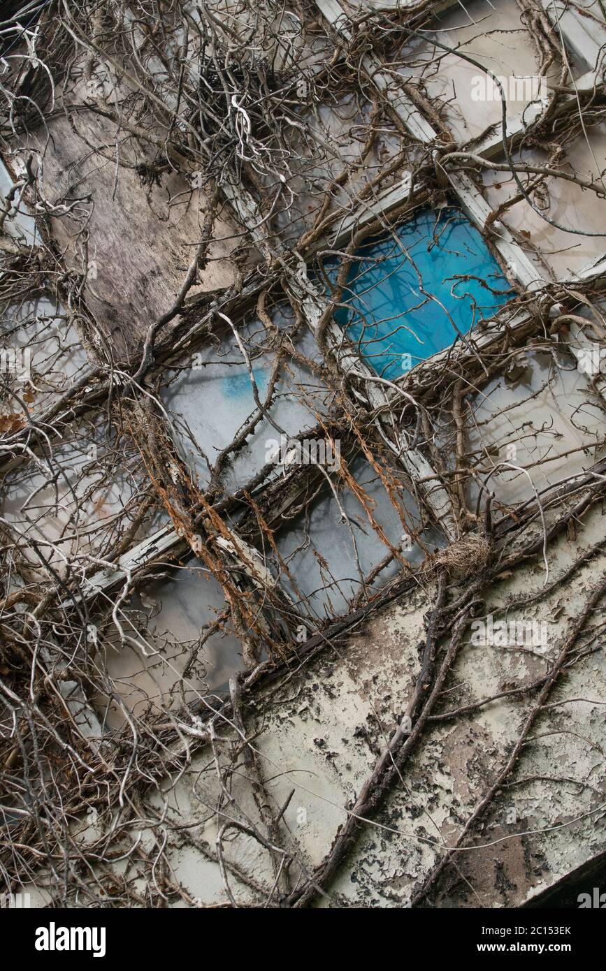 Old buildings in a state of disrepair at a zoo in the West Midlands of ...