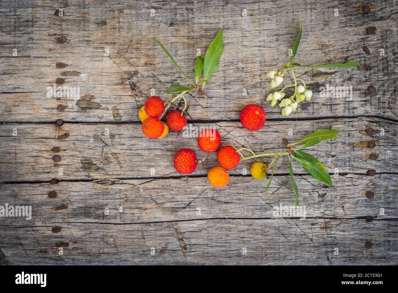 Delicious fresh arbutus fruits Stock Photo - Alamy