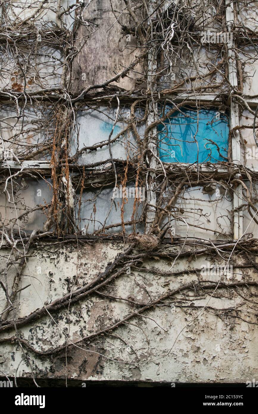 Old buildings in a state of disrepair at a zoo in the West Midlands of ...