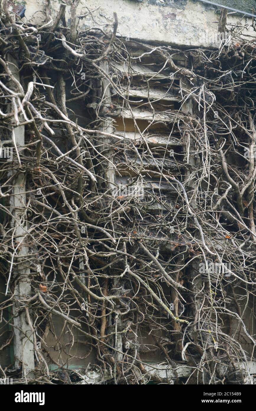Old buildings in a state of disrepair at a zoo in the West Midlands of ...