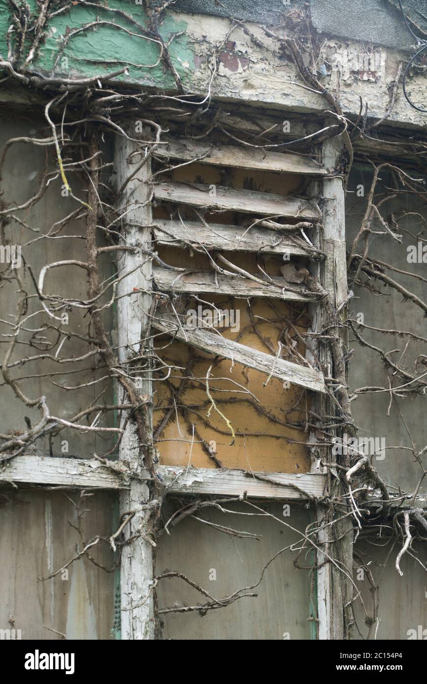 Old buildings in a state of disrepair at a zoo in the West Midlands of ...