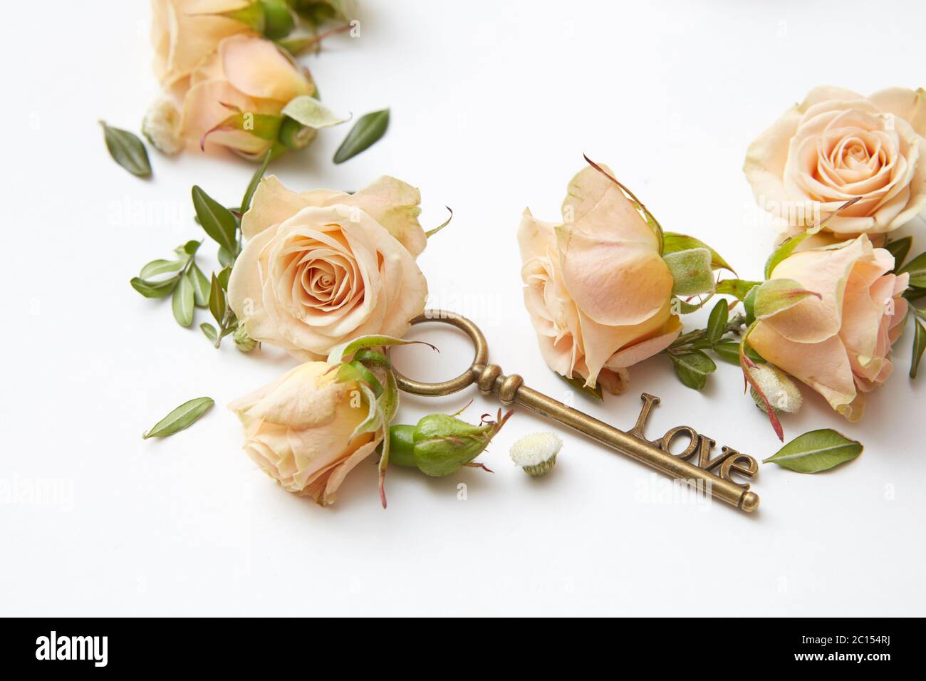 Red orange roses hi-res stock photography and images - Alamy