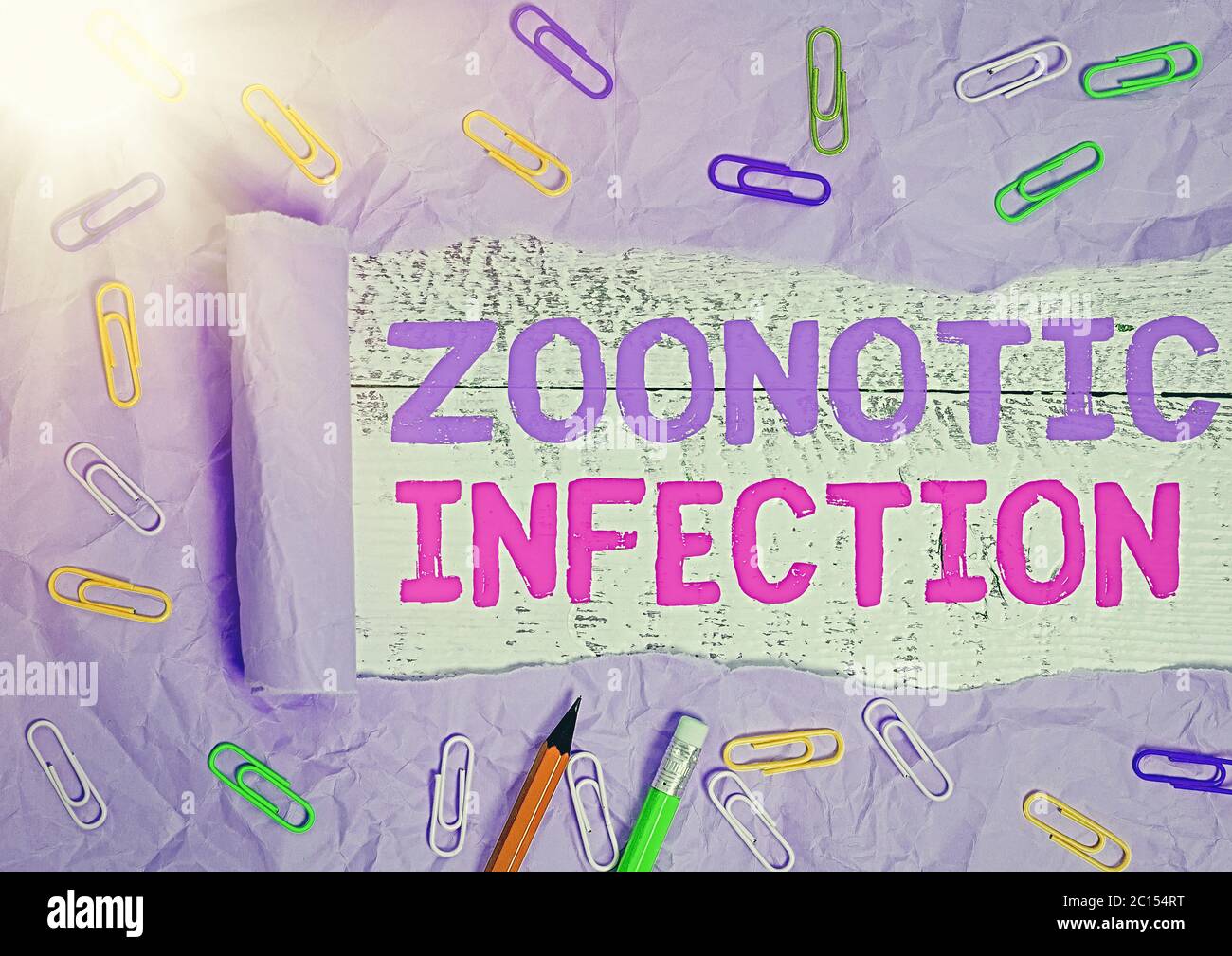 Text sign showing Zoonotic Infection. Business photo text communicable ...