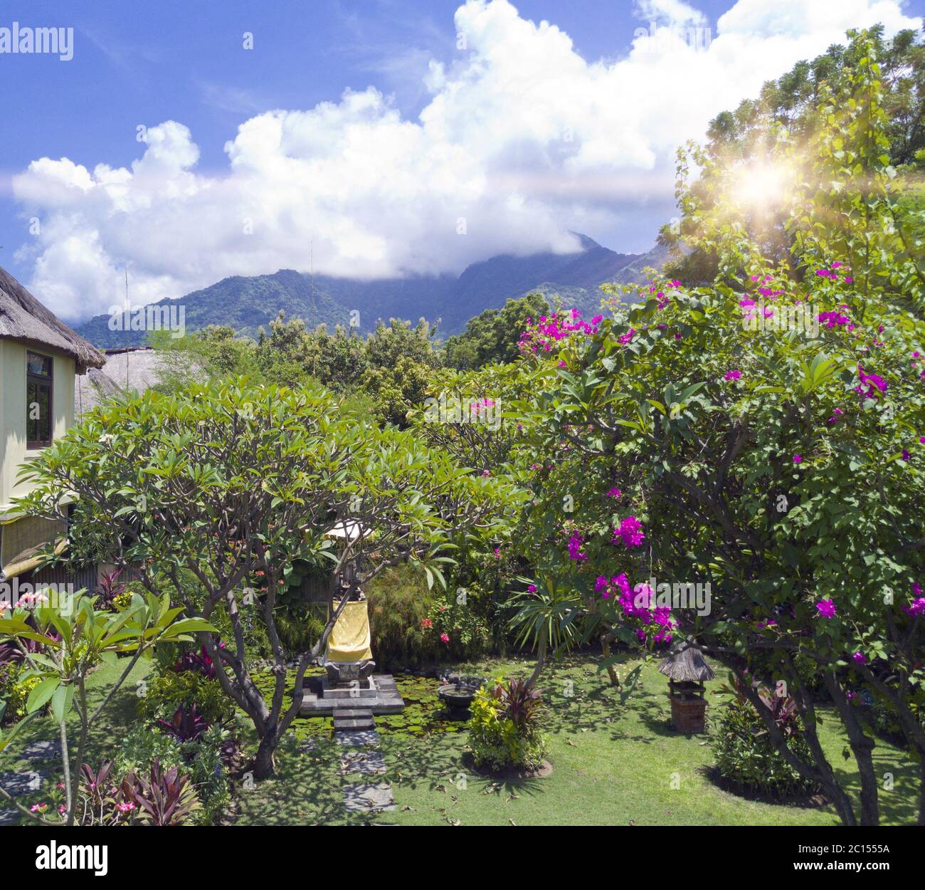Aerial view from height through foliage of tropical trees on mountains ...